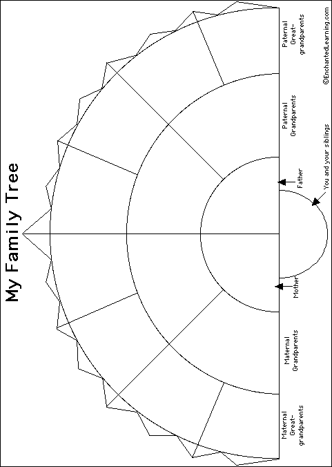 Semi-Circular Family Tree Craft Template 2 - Enchanted Learning Software