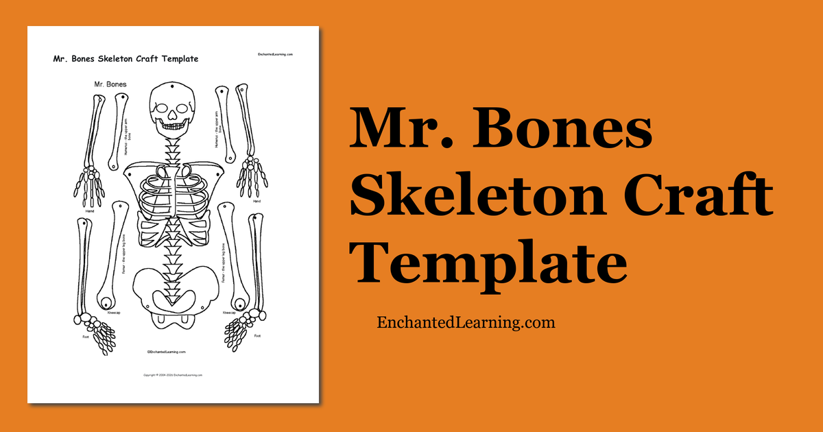 Mr. Bones Skeleton Craft Template - Enchanted Learning