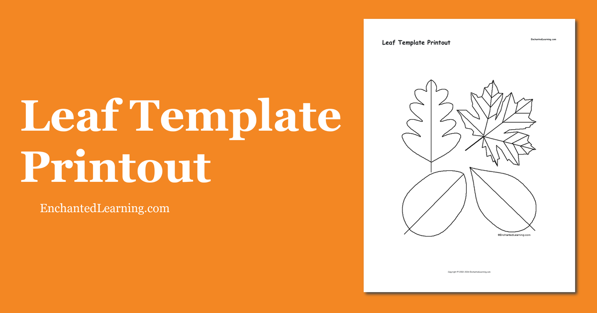 Leaf Template Printout - Enchanted Learning