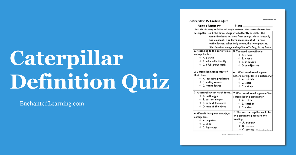 Caterpillar Definition Quiz - Enchanted Learning