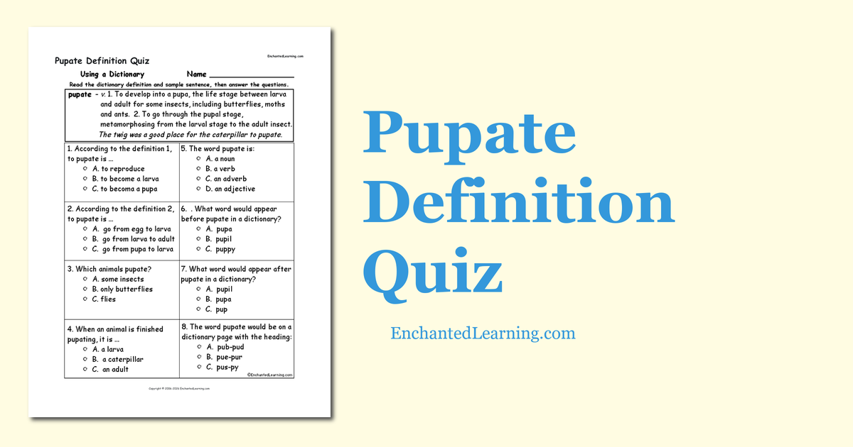 Pupate Definition Quiz - Enchanted Learning