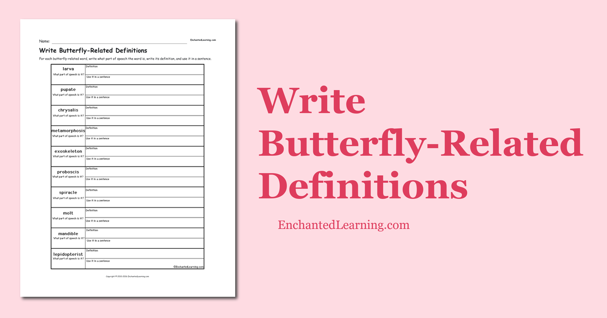 Write Butterfly-Related Definitions - Enchanted Learning