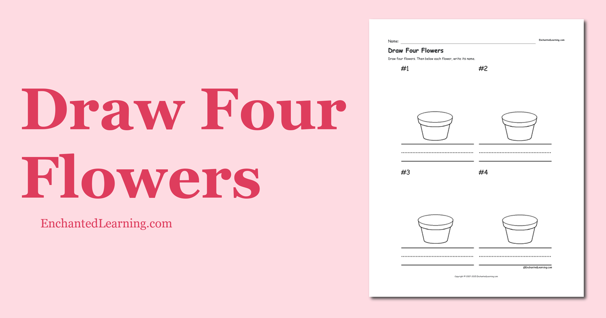 Draw Four Flowers - Enchanted Learning