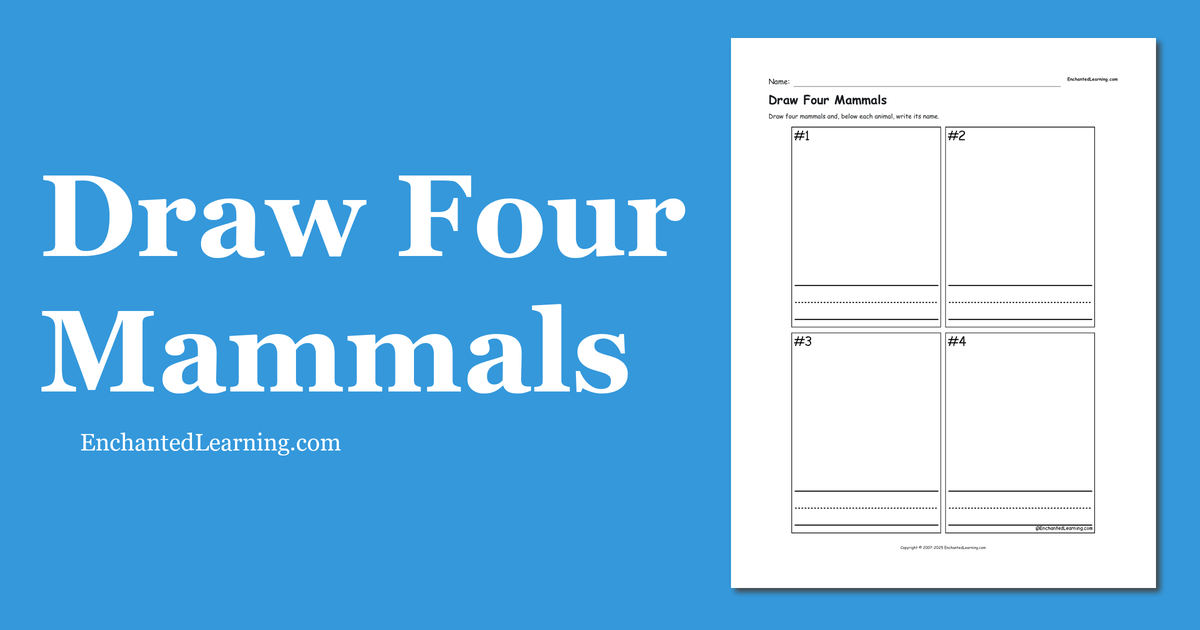 Draw Four Mammals - Enchanted Learning