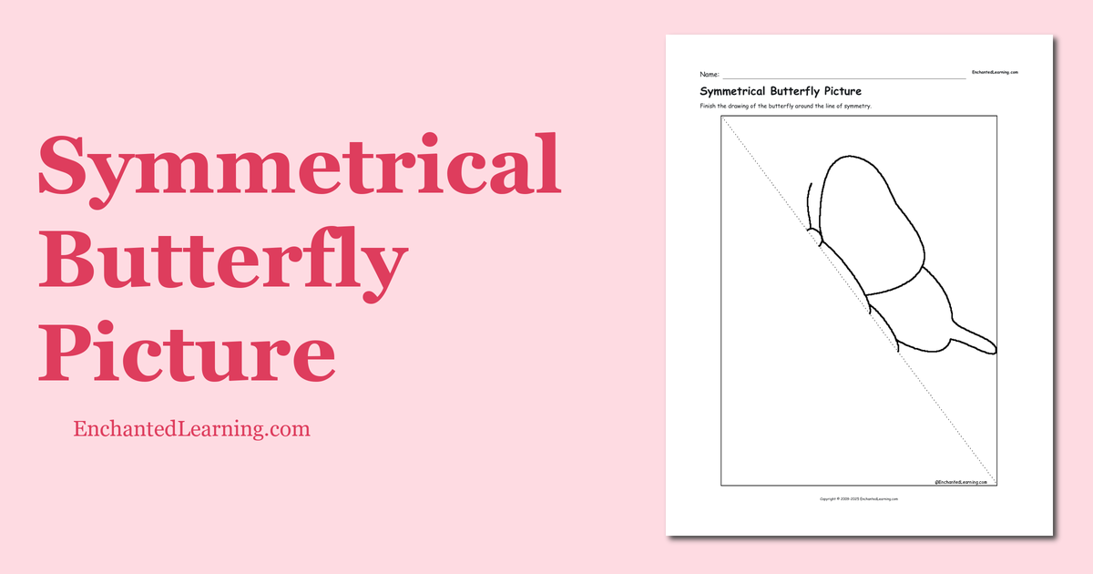 Symmetrical Butterfly Picture - Enchanted Learning