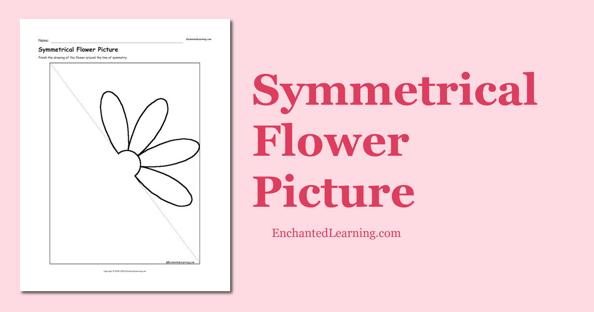 Symmetrical Flower Picture Worksheet - Enchanted Learning