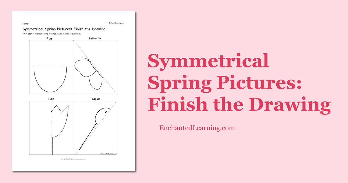 Symmetrical Spring Pictures: Finish the Drawing - Enchanted Learning