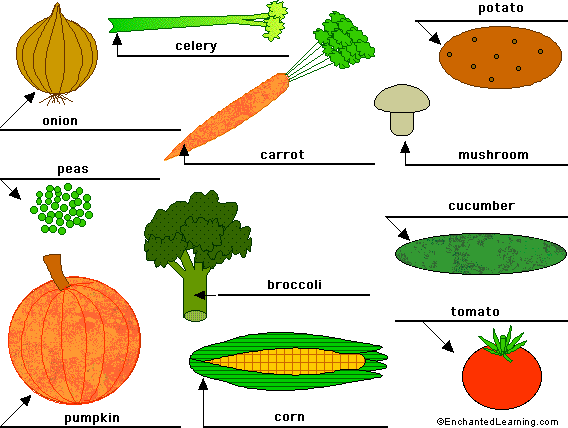 Labeling Vegetable For Preschoolers