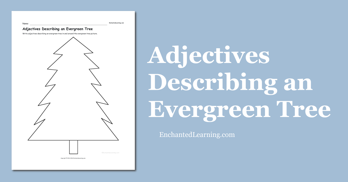Adjectives Describing an Evergreen Tree - Enchanted Learning