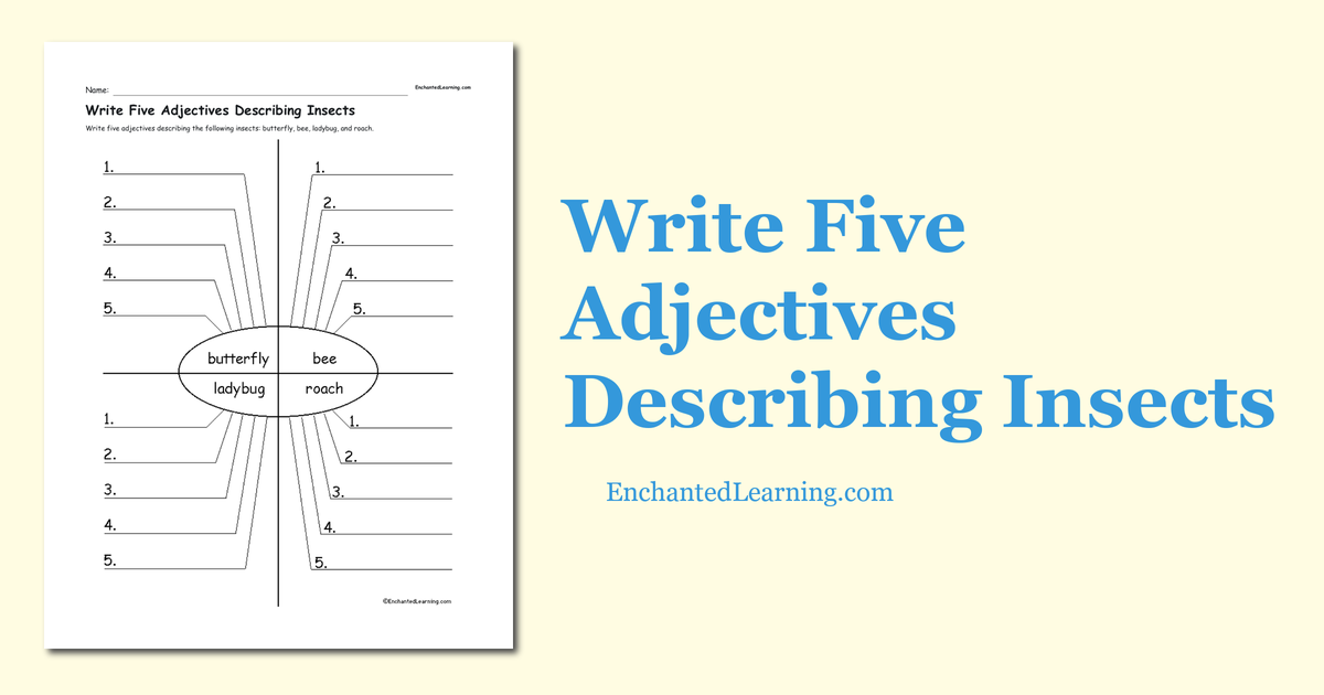 Write Five Adjectives Describing Insects - Enchanted Learning