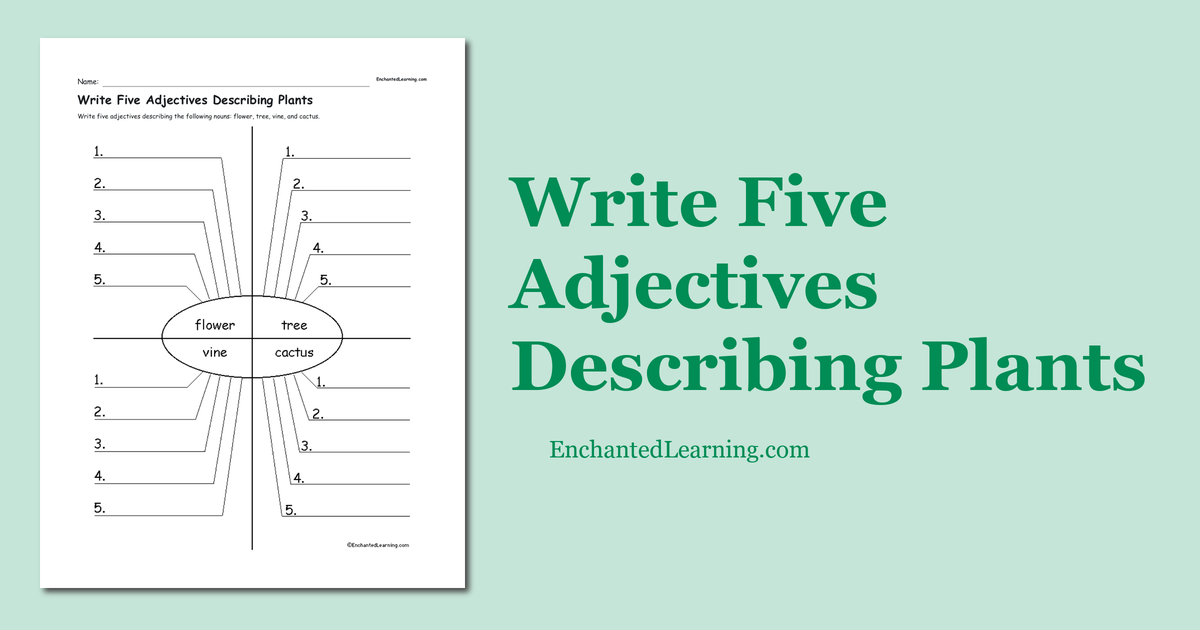 Write Five Adjectives Describing Plants - Enchanted Learning