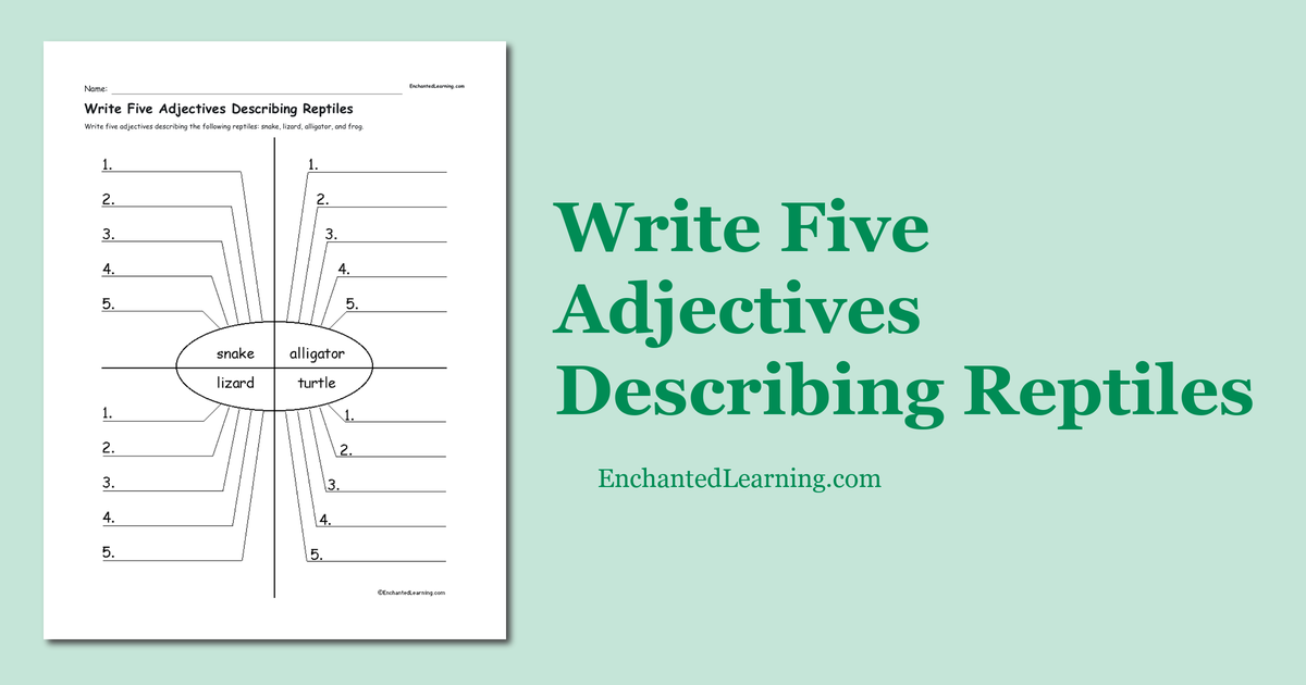 Write Five Adjectives Describing Reptiles - Enchanted Learning