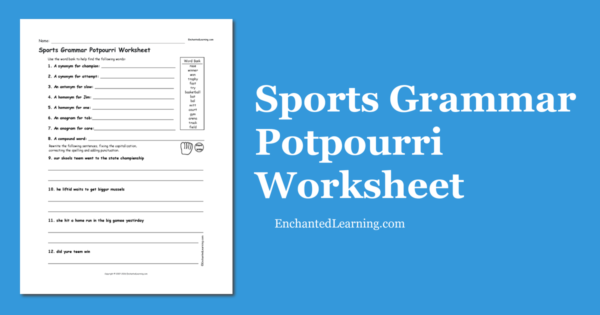 Sports Grammar Potpourri Worksheet - Enchanted Learning