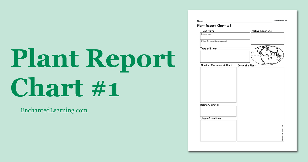 Plant Report Chart #1 - Enchanted Learning