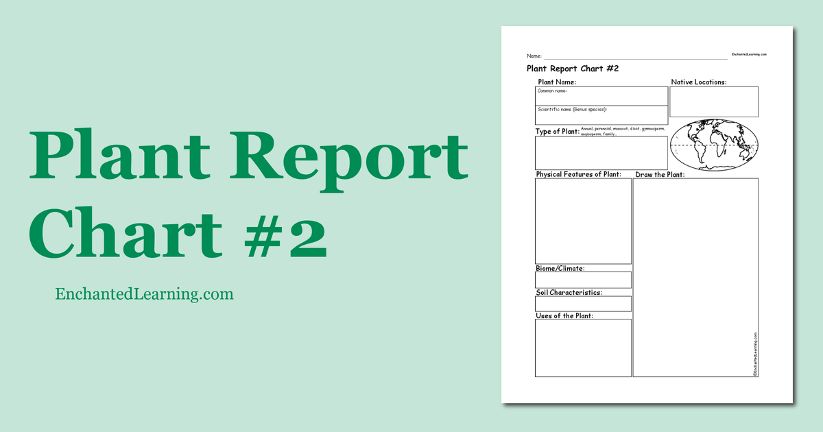 Plant Report Chart #2 - Enchanted Learning