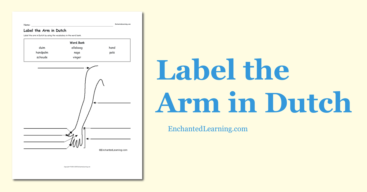 Label the Arm in Dutch Printout - Enchanted Learning