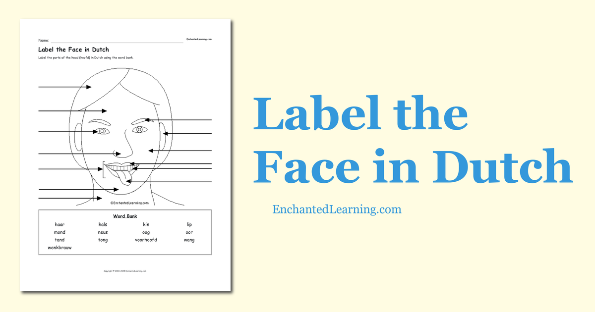 Label the Face in Dutch - Enchanted Learning