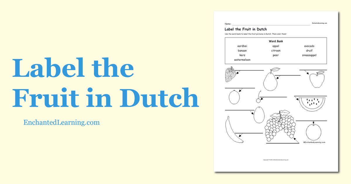 Label the Fruit in Dutch - Enchanted Learning