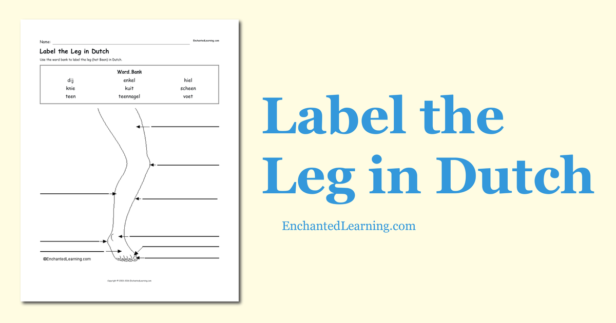 Label the Leg in Dutch - Enchanted Learning