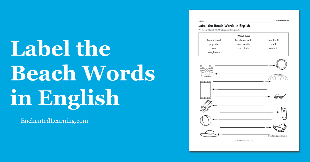 Label the Beach Words in English - Enchanted Learning