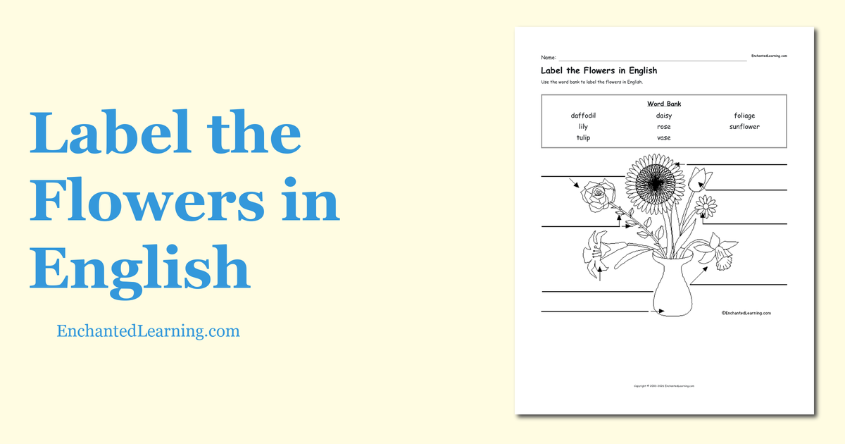 Label the Flowers in English - Enchanted Learning