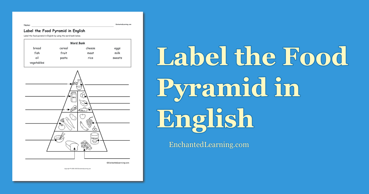 Food Pyramid Worksheets For Adults