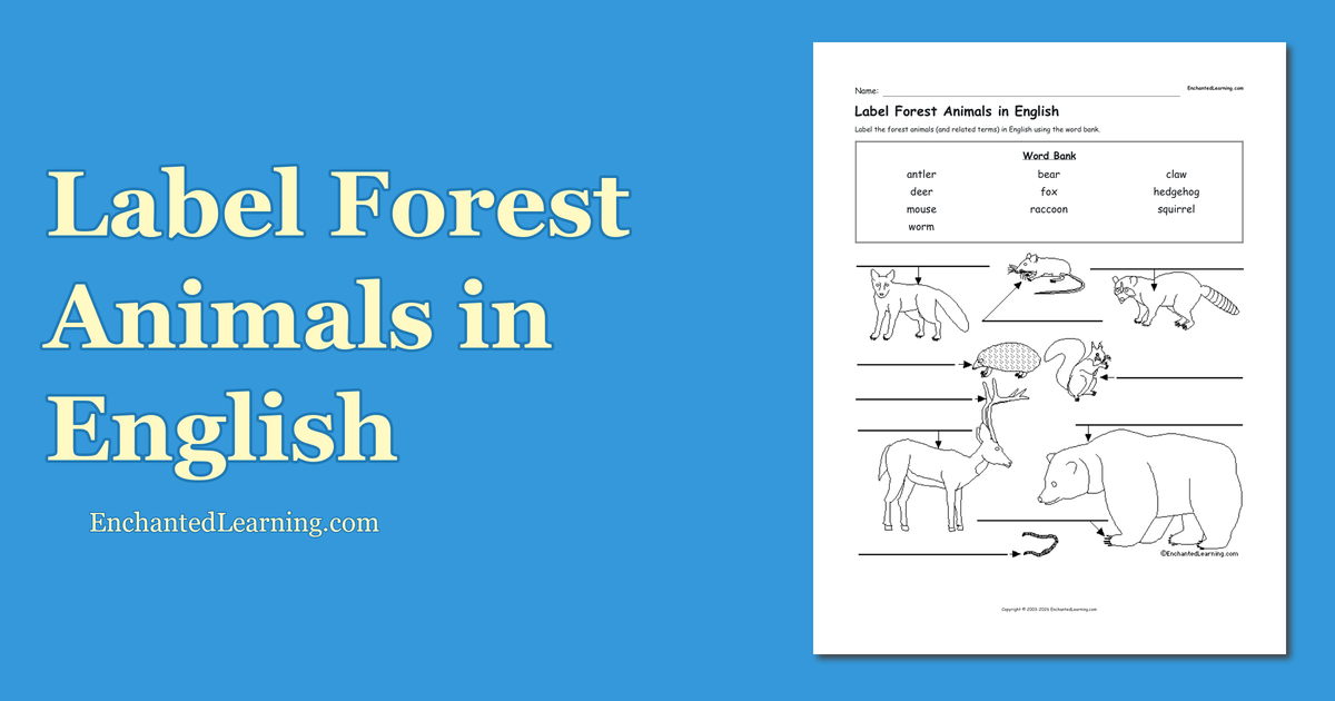 Label Forest Animals in English - Enchanted Learning
