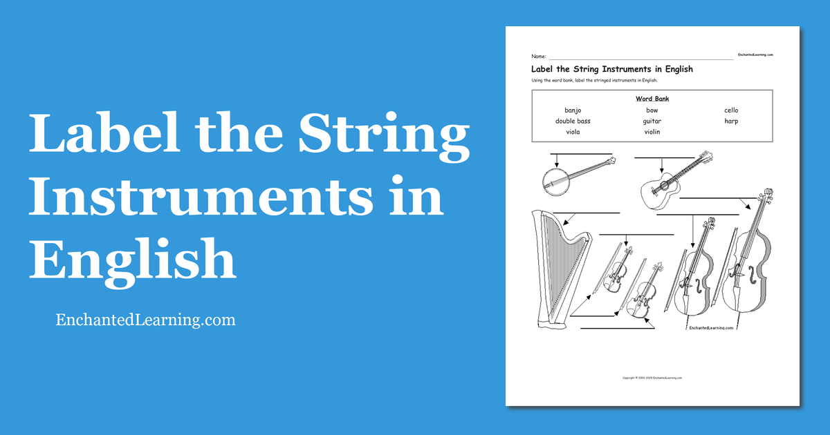 Label the String Instruments in English - Enchanted Learning