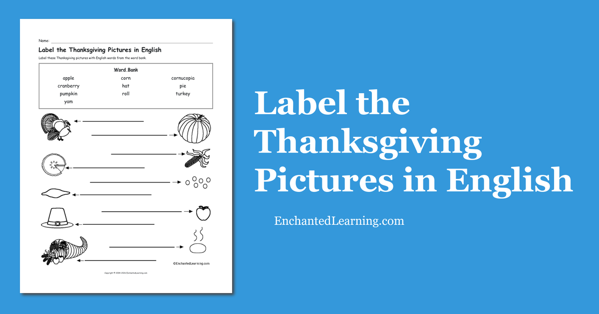Label the Thanksgiving Pictures in English - Enchanted Learning