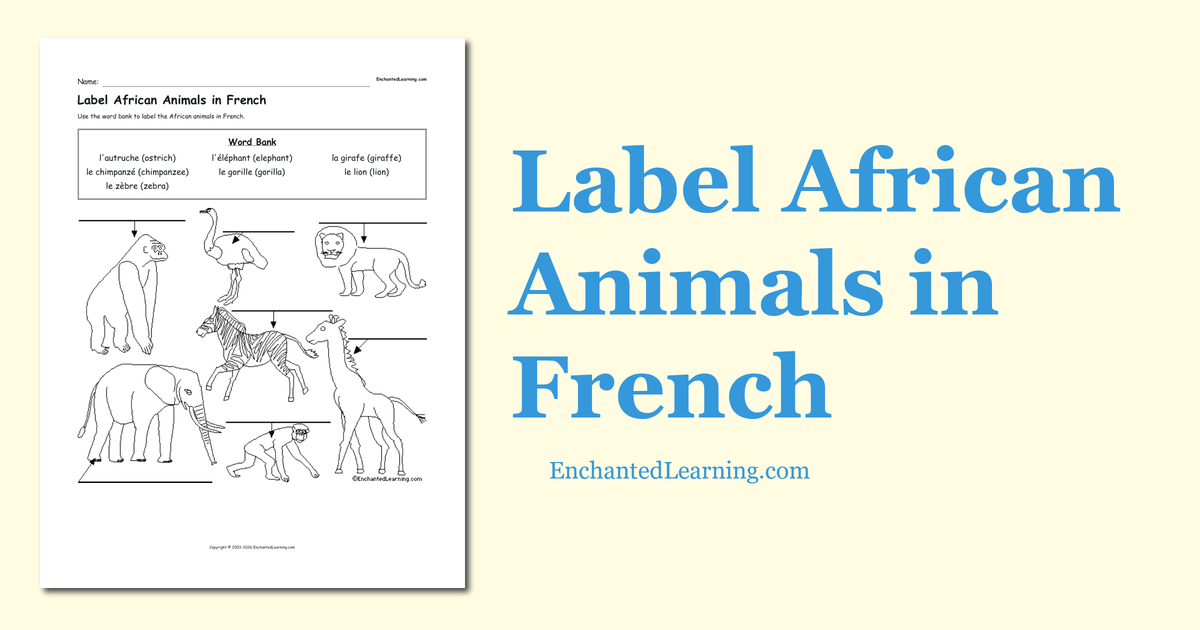 Label African Animals in French - Enchanted Learning