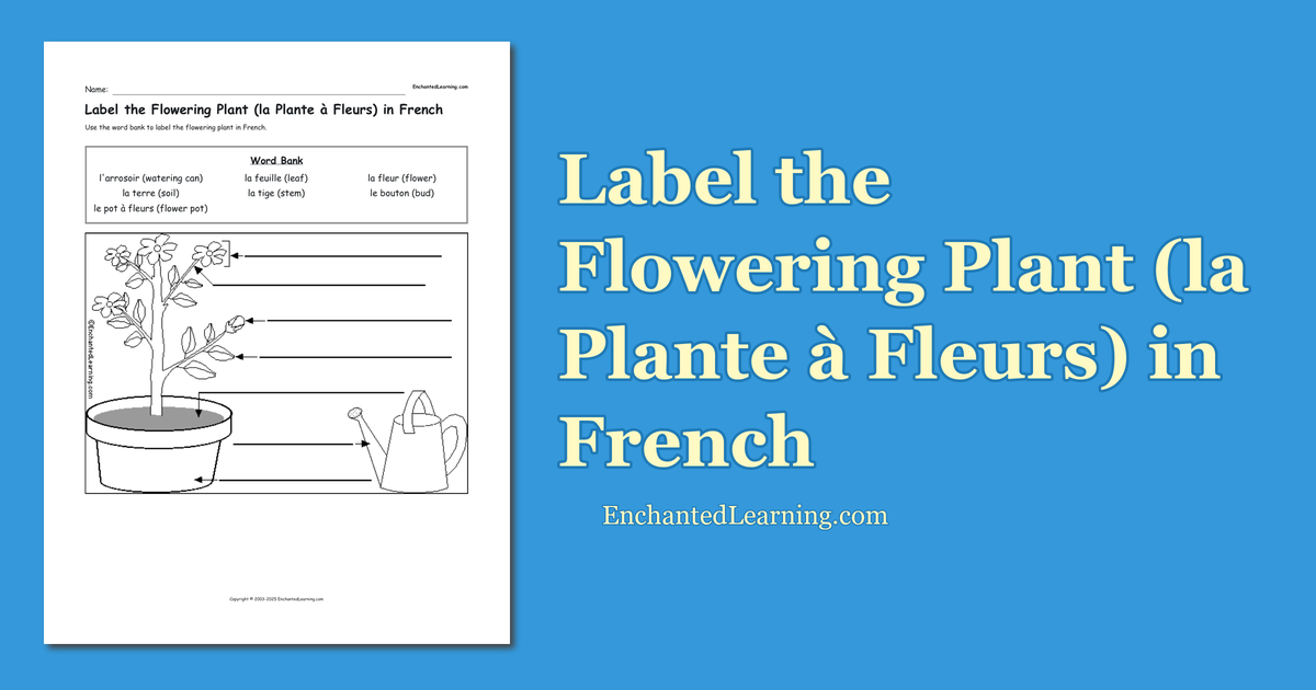 Label the Flowering Plant (la Plante à Fleurs) in French - Enchanted ...