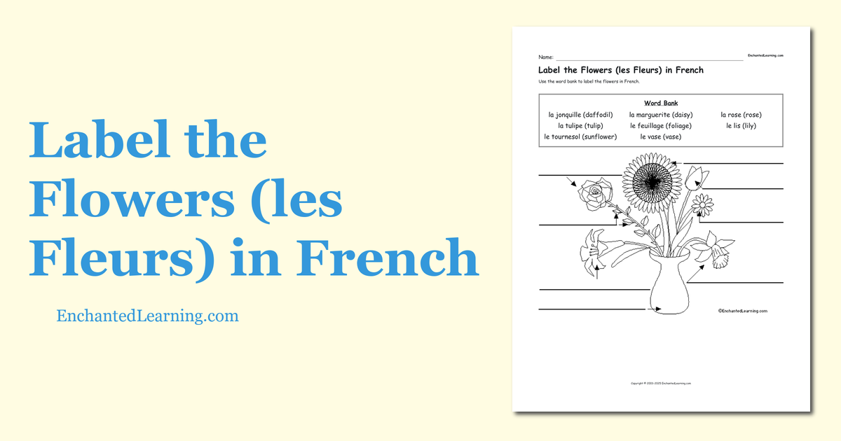 Label the Flowers (les Fleurs) in French - Enchanted Learning