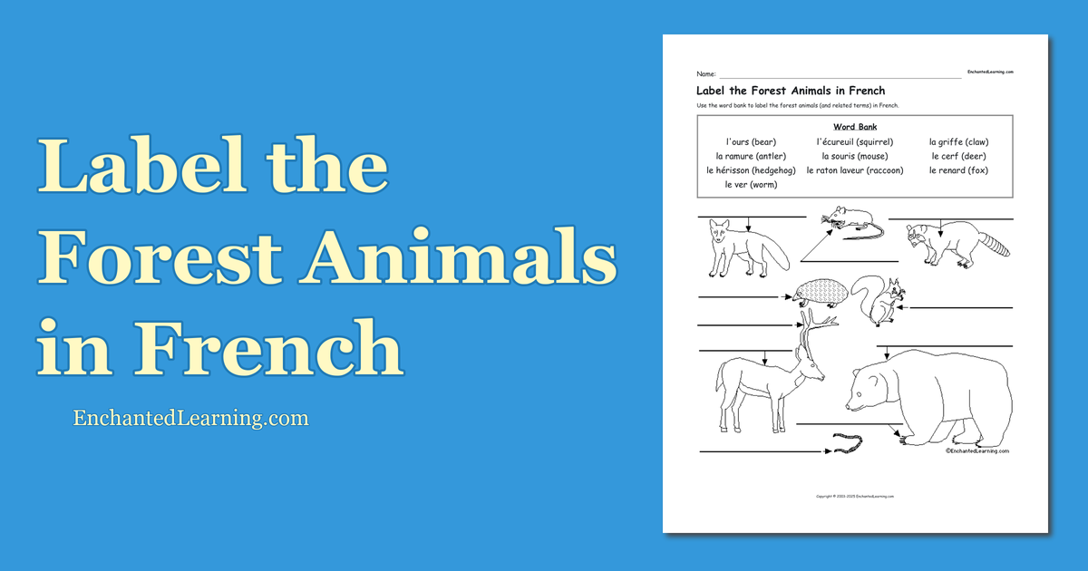 Label the Forest Animals in French - Enchanted Learning