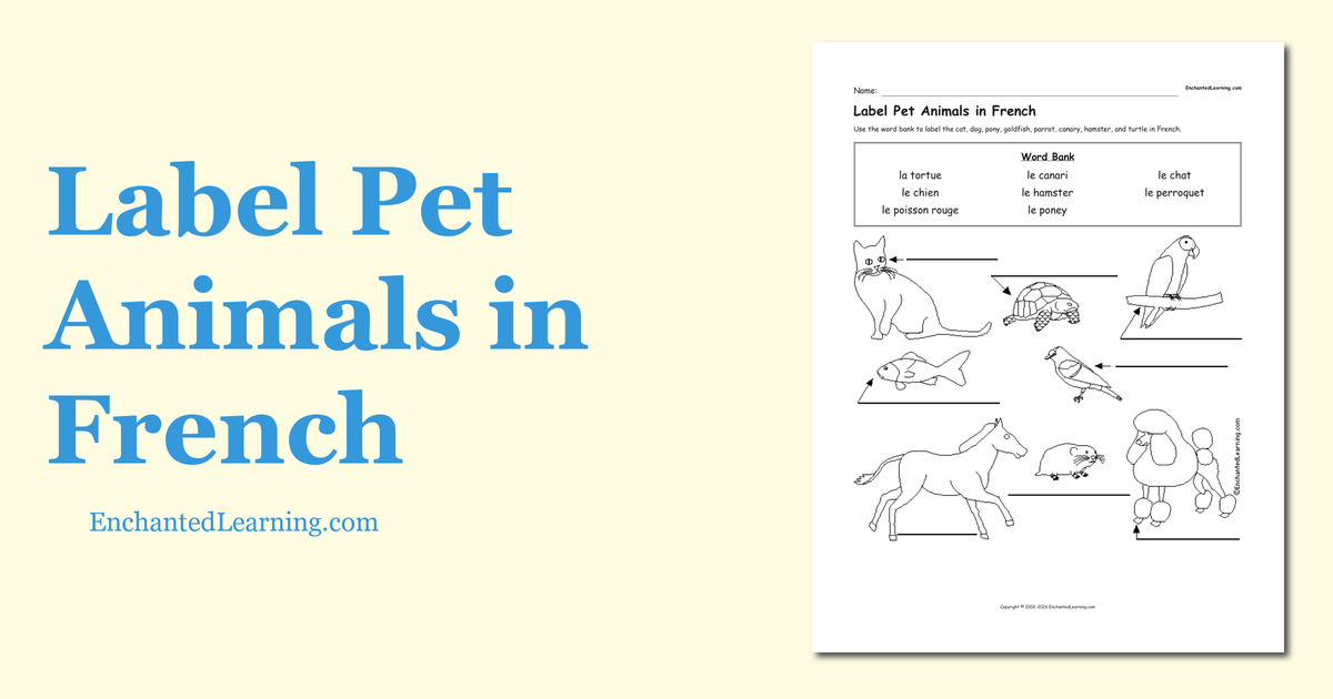 Label Pet Animals in French - Enchanted Learning