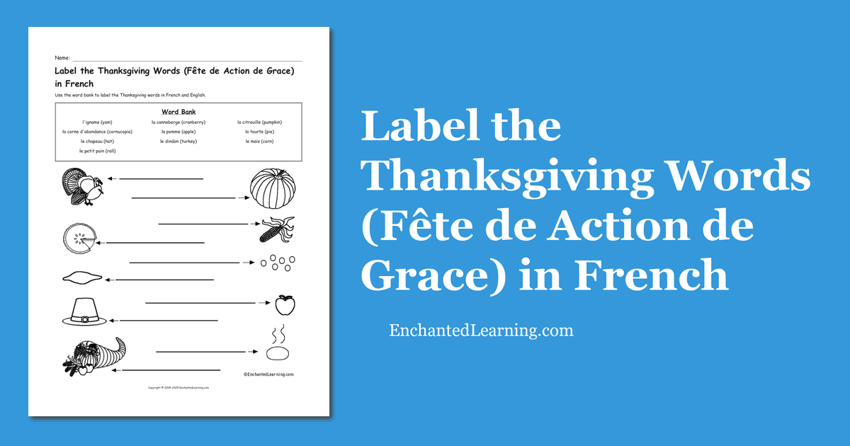 French Thanksgiving Vocabulary