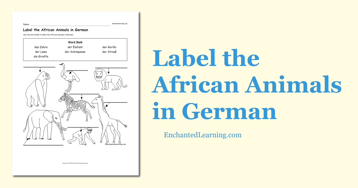 Label the African Animals in German - Enchanted Learning