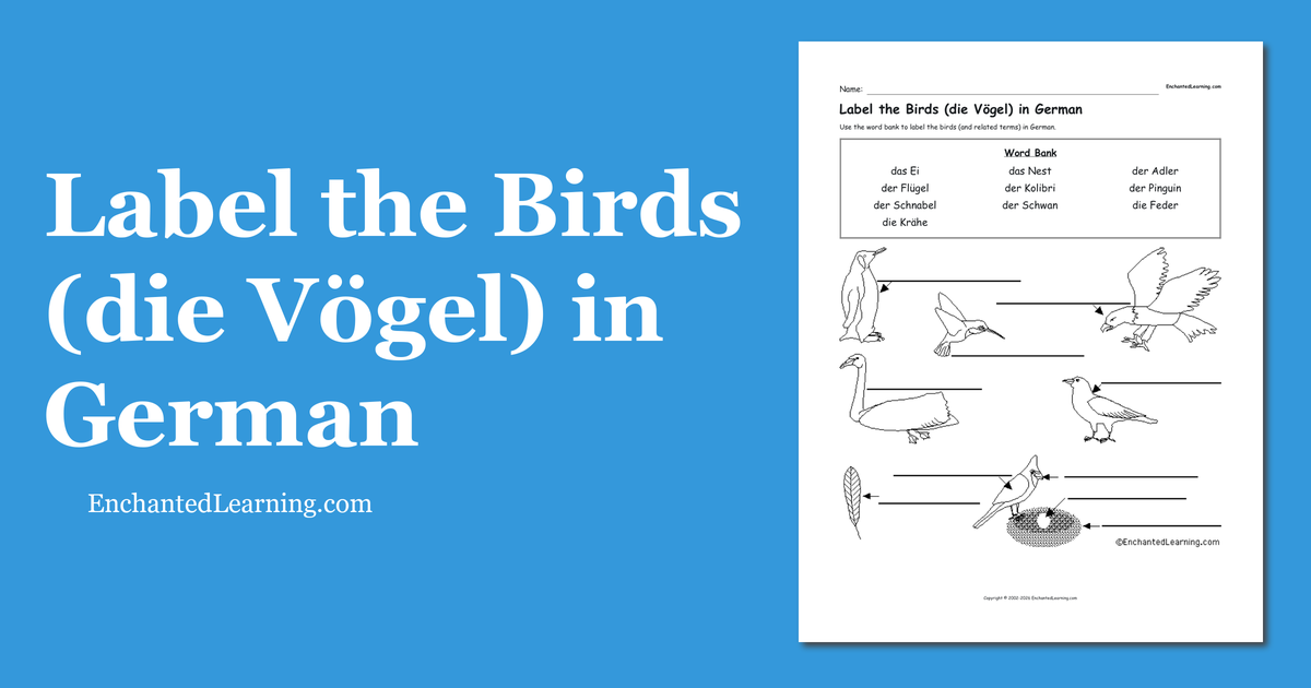 Label the Birds (die Vögel) in German - Enchanted Learning