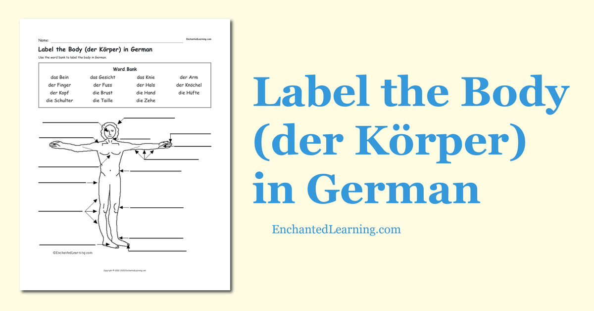 Label the Body (der Körper) in German - Enchanted Learning