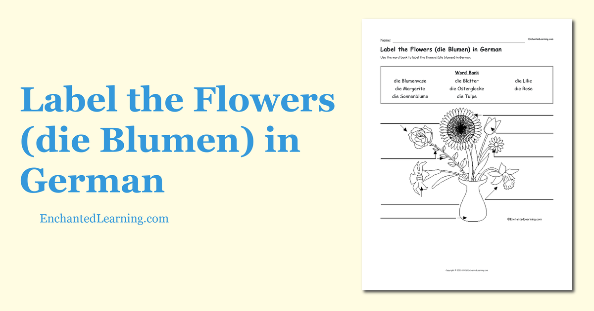 Label the Flowers (die Blumen) in German - Enchanted Learning