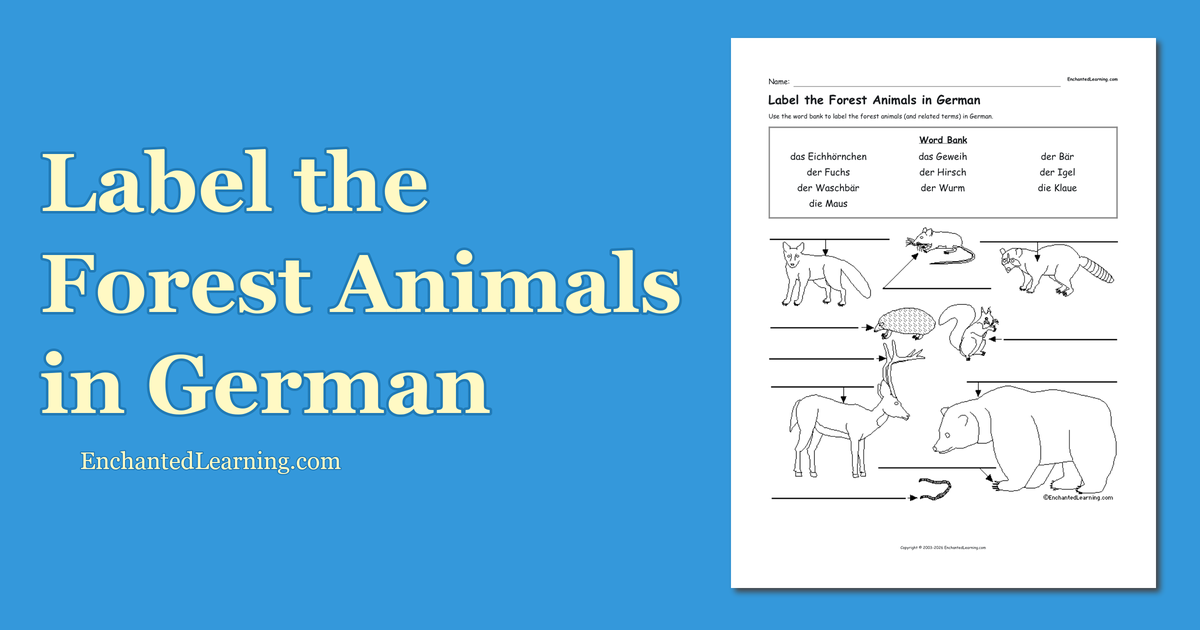 Label the Forest Animals in German - Enchanted Learning