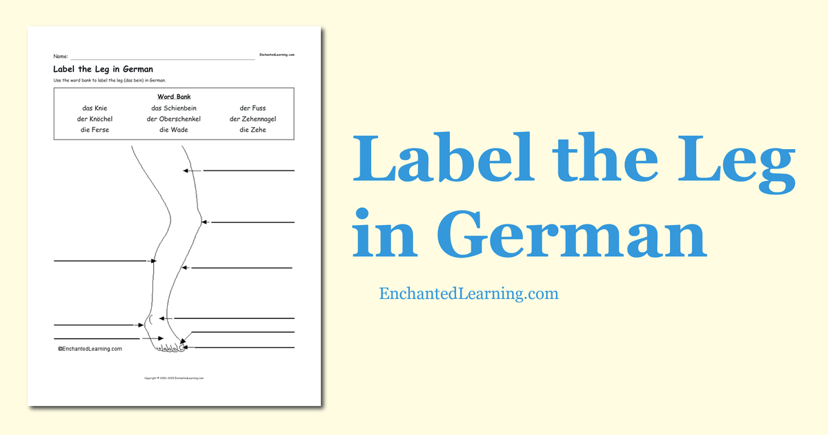 Label the Leg in German - Enchanted Learning