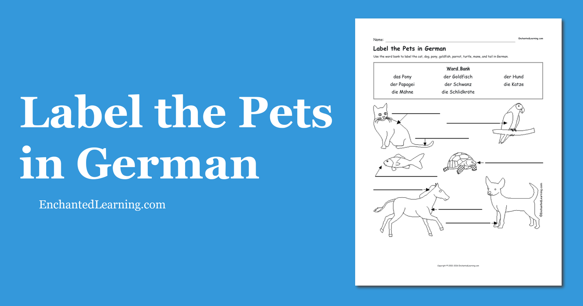 Label the Pets in German - Enchanted Learning
