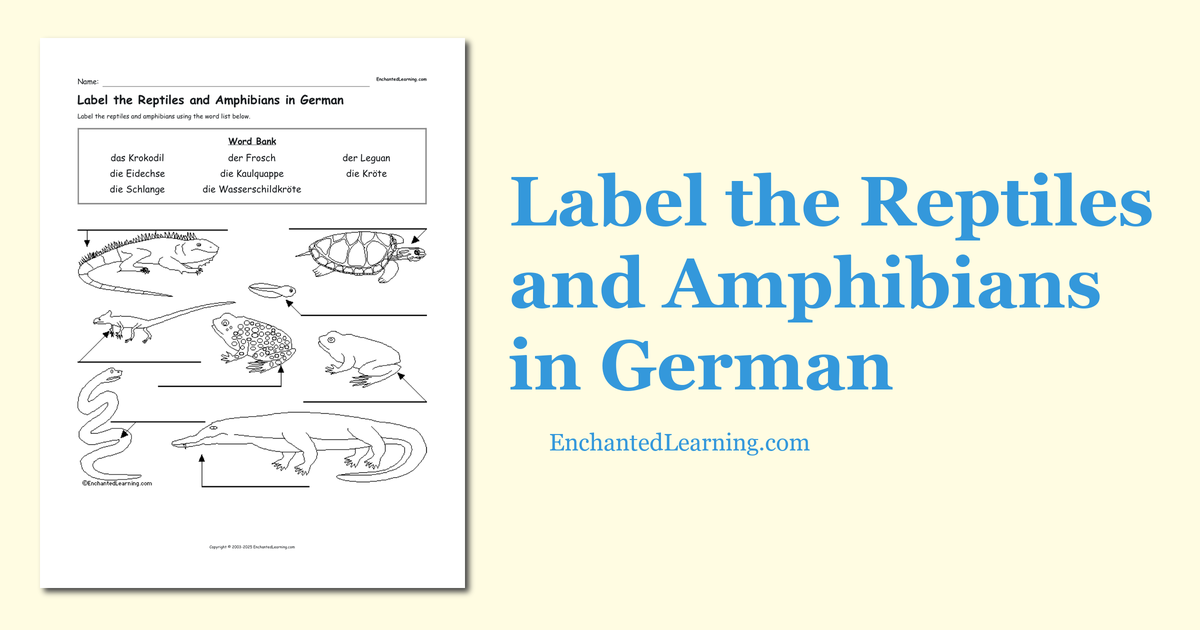 Label the Reptiles and Amphibians in German - Enchanted Learning