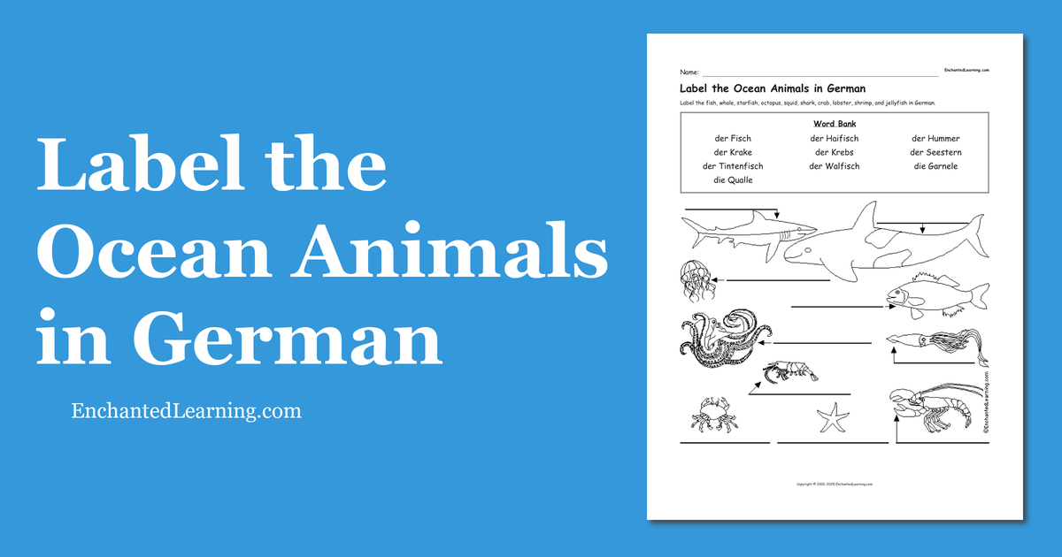 Label the Ocean Animals in German - Enchanted Learning