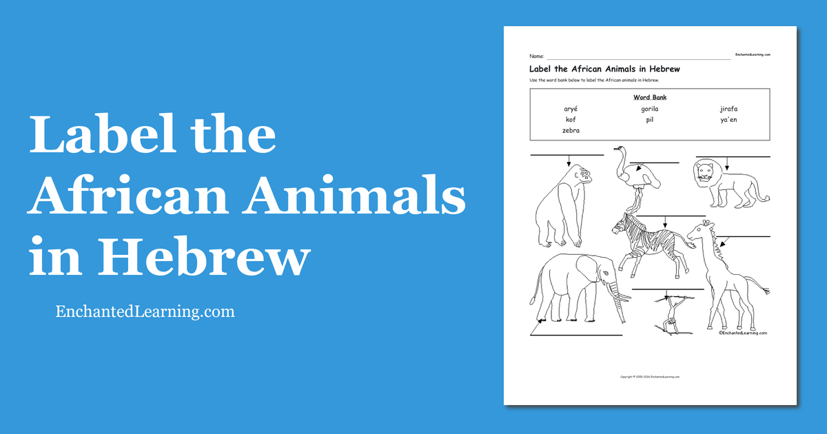 Label the African Animals in Hebrew - Enchanted Learning