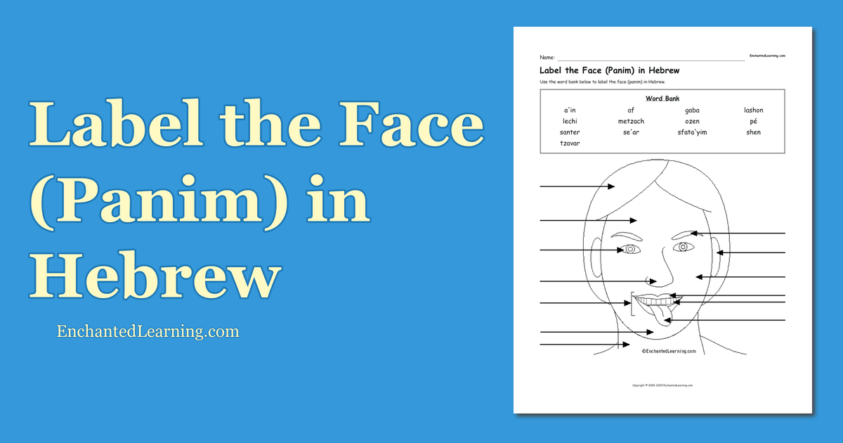 Label the Face (Panim) in Hebrew - Enchanted Learning