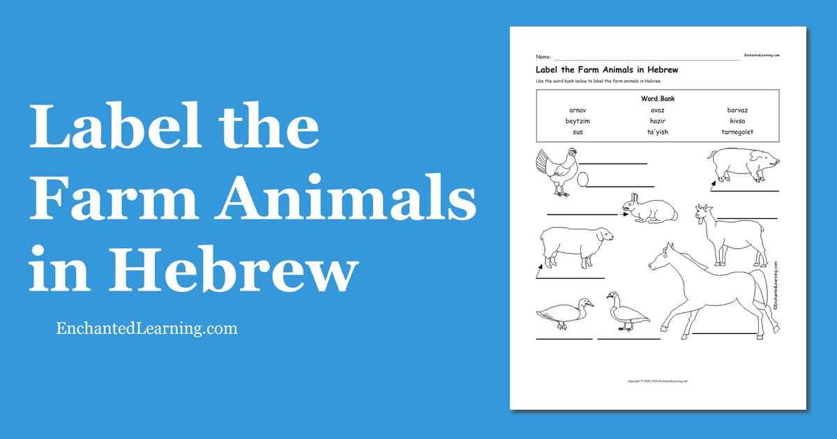 Label the Farm Animals in Hebrew - Enchanted Learning