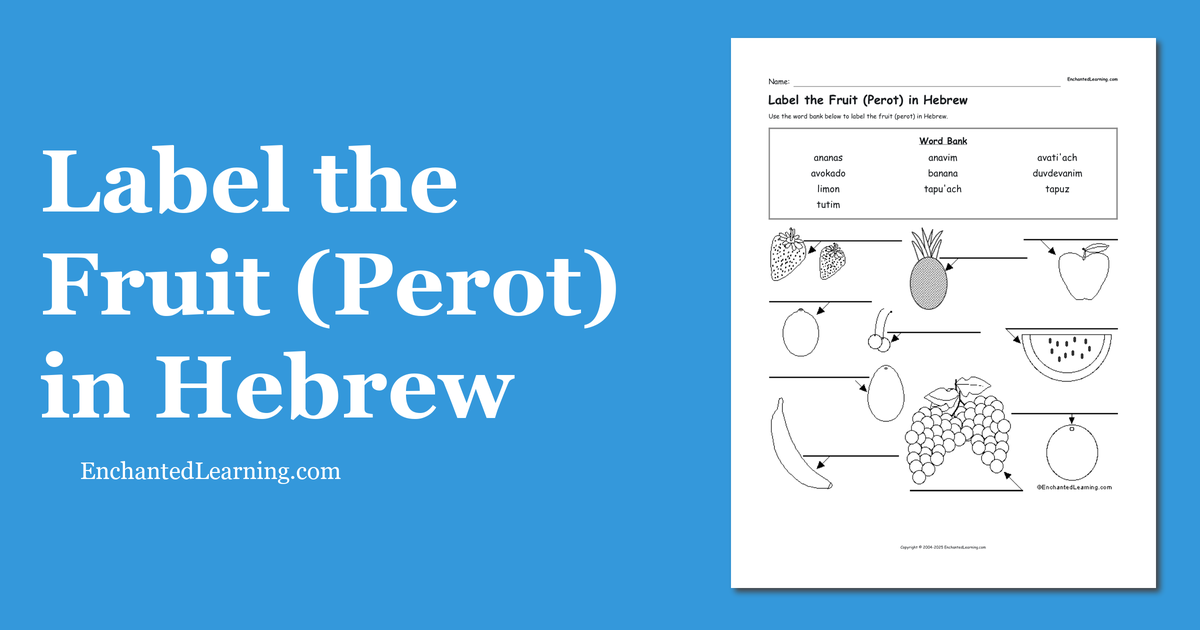 Label the Fruit (Perot) in Hebrew - Enchanted Learning