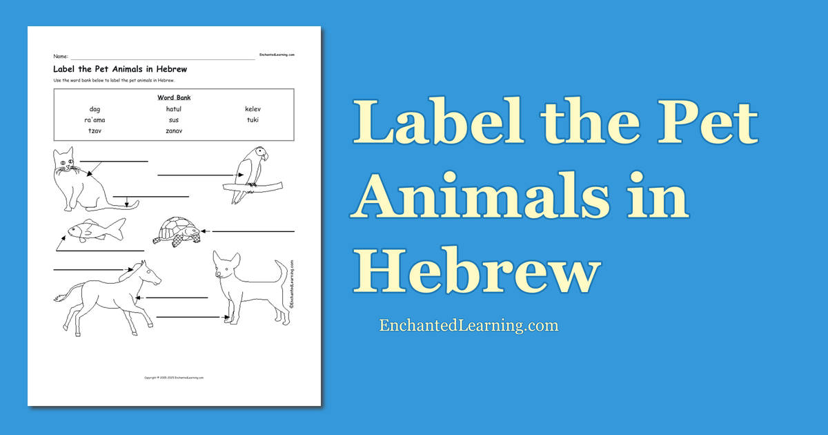 Label the Pet Animals in Hebrew - Enchanted Learning