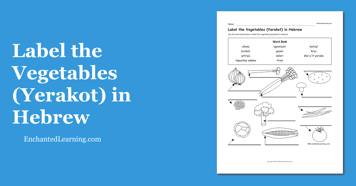 Label the Vegetables (Yerakot) in Hebrew - Enchanted Learning